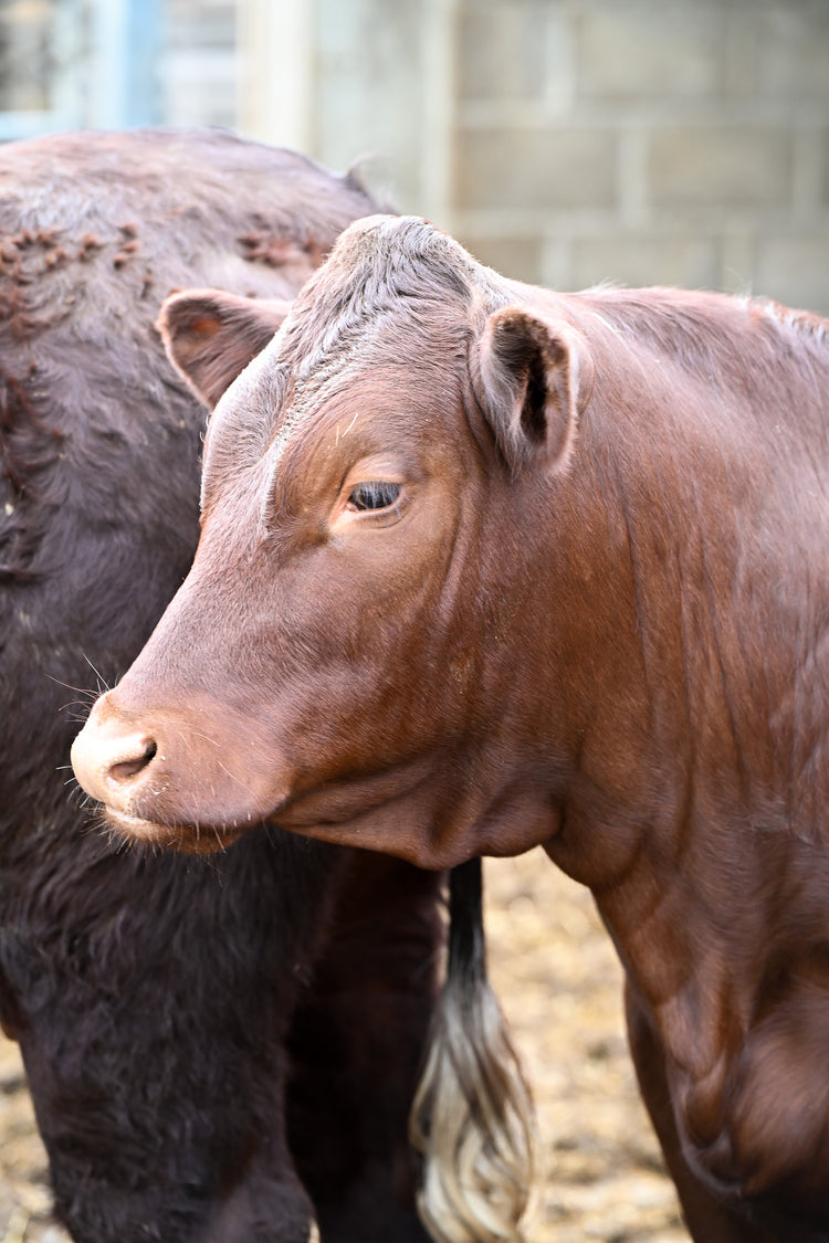 About – Block Butchery